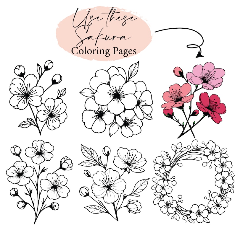 Cherry Blossom, SVG Bundle, Sakura Flower SVG, Svg Cricut, Svg Cut File ...