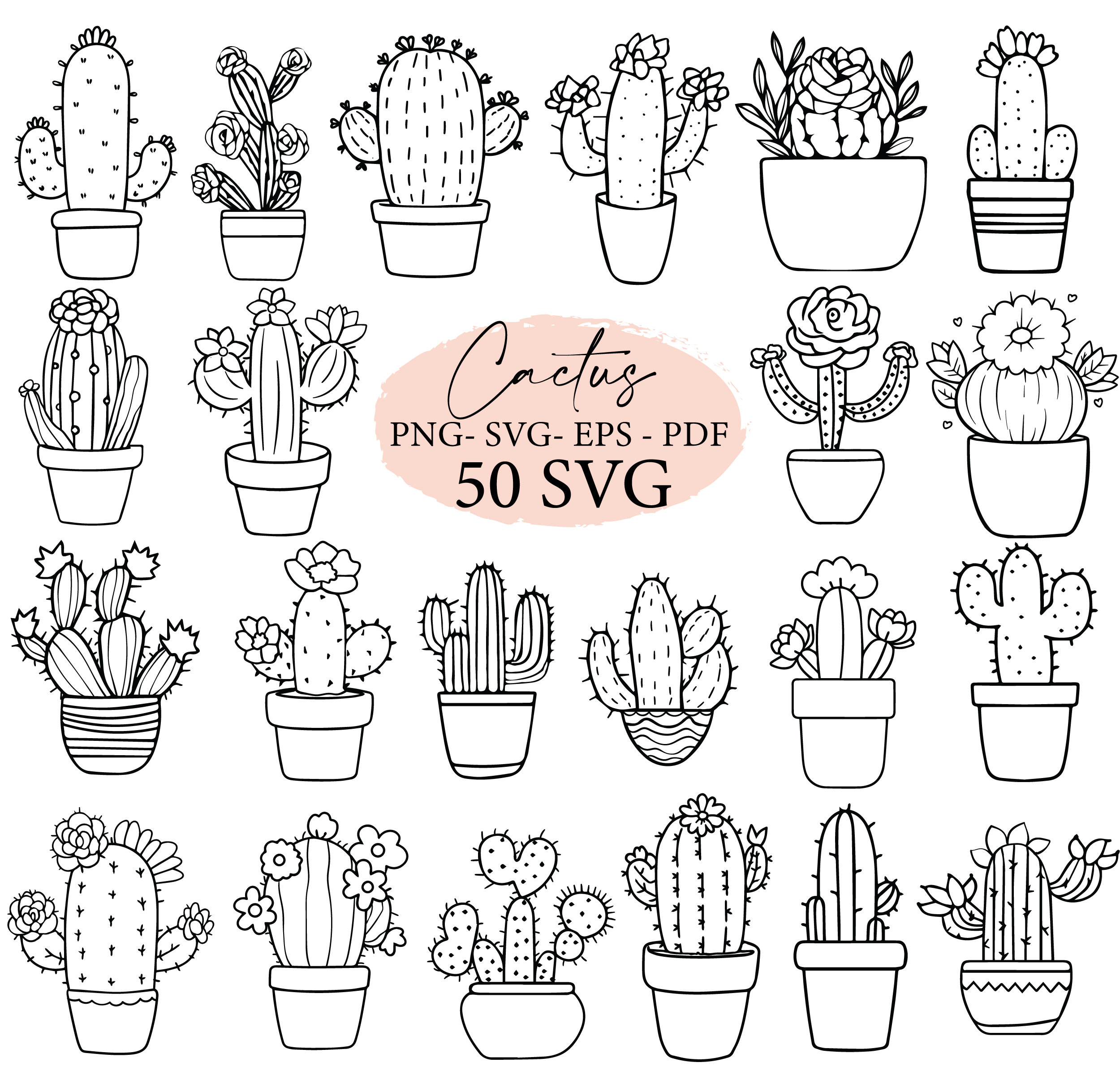 Cactus, Cactus Plant, Succulents, Plants Png, Cactus Png, Svg Bundle ...