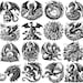 Dragon, Dragon Svg, Dragon Age, Magical Dragons, Dragon Png, Dragon ...
