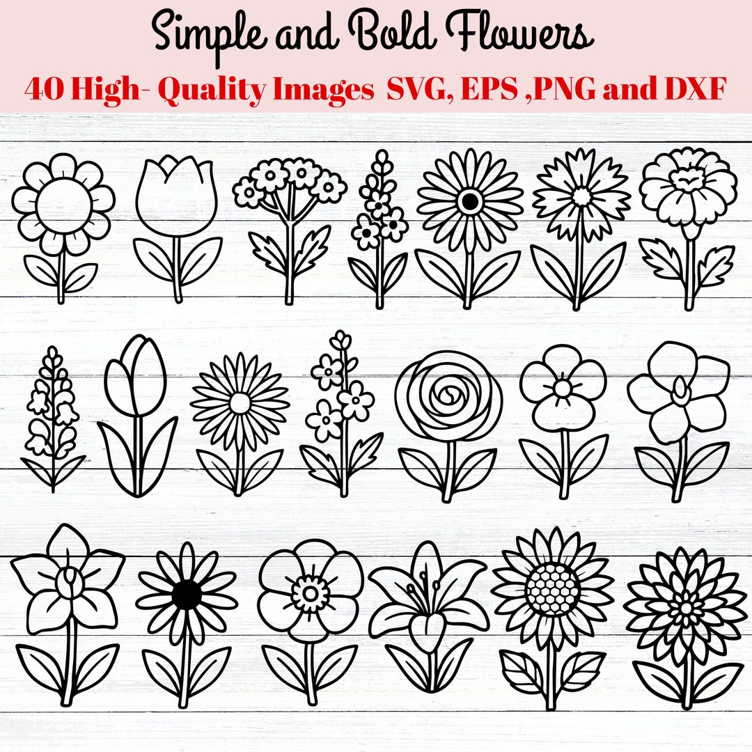 40 Flower SVG Bundle, Floral SVG Cut Files, Simple Bold Outline Flowers ...