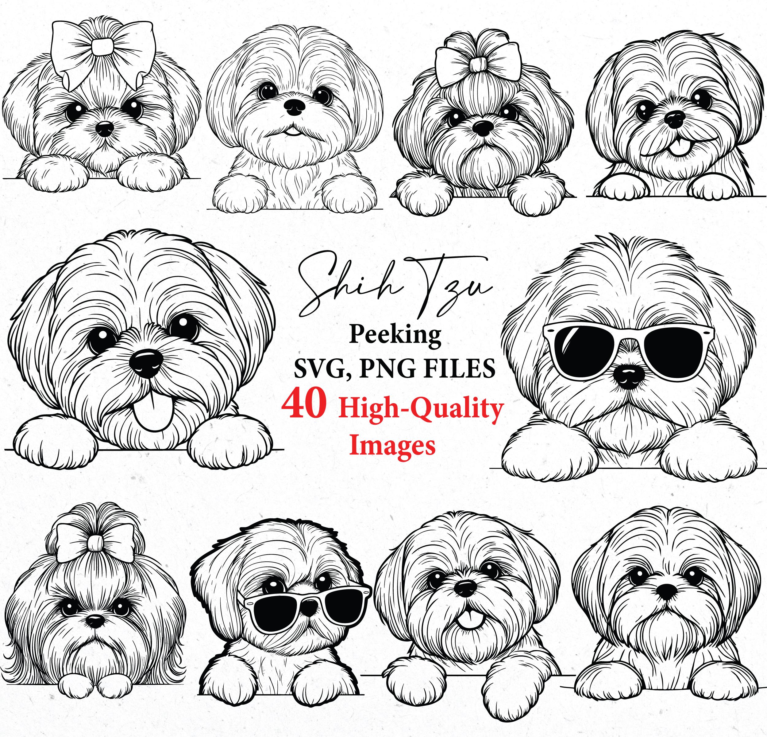 Shih Tzu Svg, Shih Tzu Peeking Svg, Dog Svg, Dog Outline, Svg Bundle ...