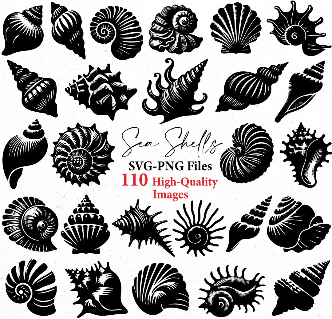 Seashells Svg, Shell Svg, Seashell Clipart, Summer Svg, Ocean Svg ...