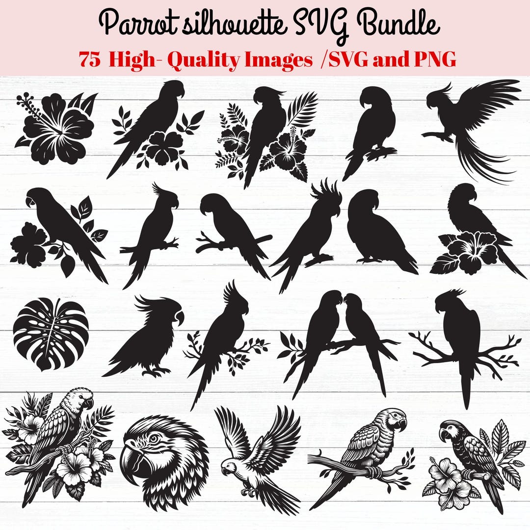 Parrot Svg, Parrots Png, Parrot Clipart Bundle, Parrot Silhouette ...