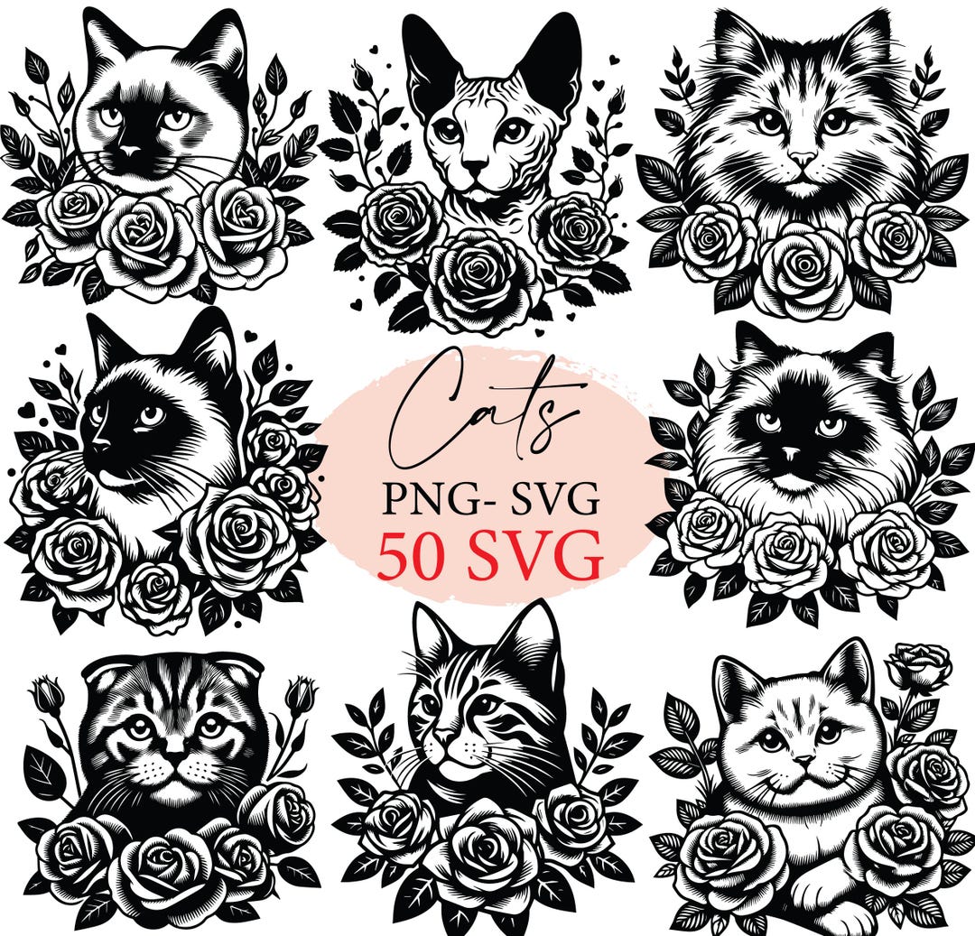 Cat Svg , Cats, Cat Png, Cat Shirt Design, Svg Bundle, Svg Files, Svg ...