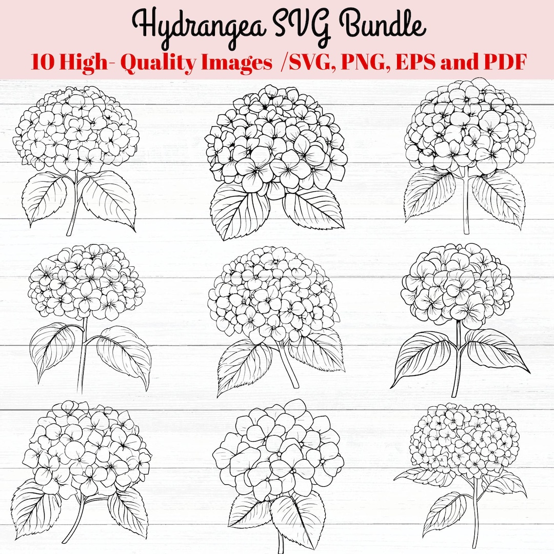 Hydrangea Flower Svg, Handrawn Flower Svg, Flower Png, Flowers Clipart ...