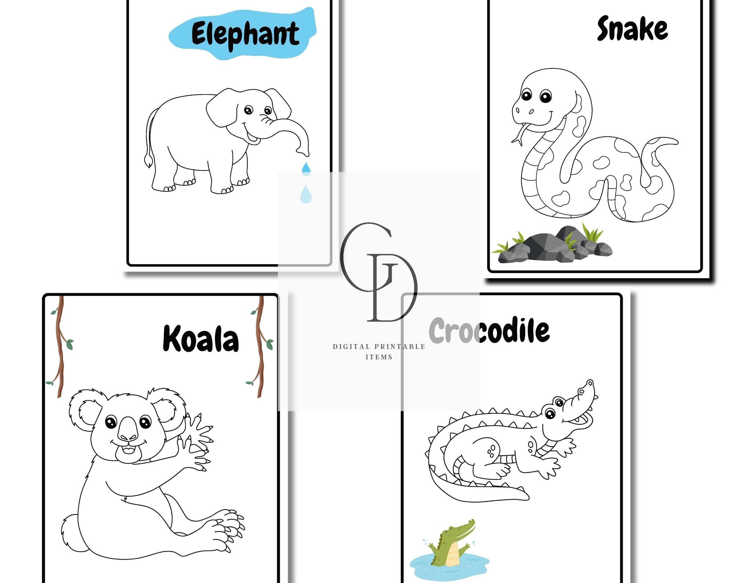 Wild Animal Coloring Pages for Kids, Digital Coloring Book, Digital ...