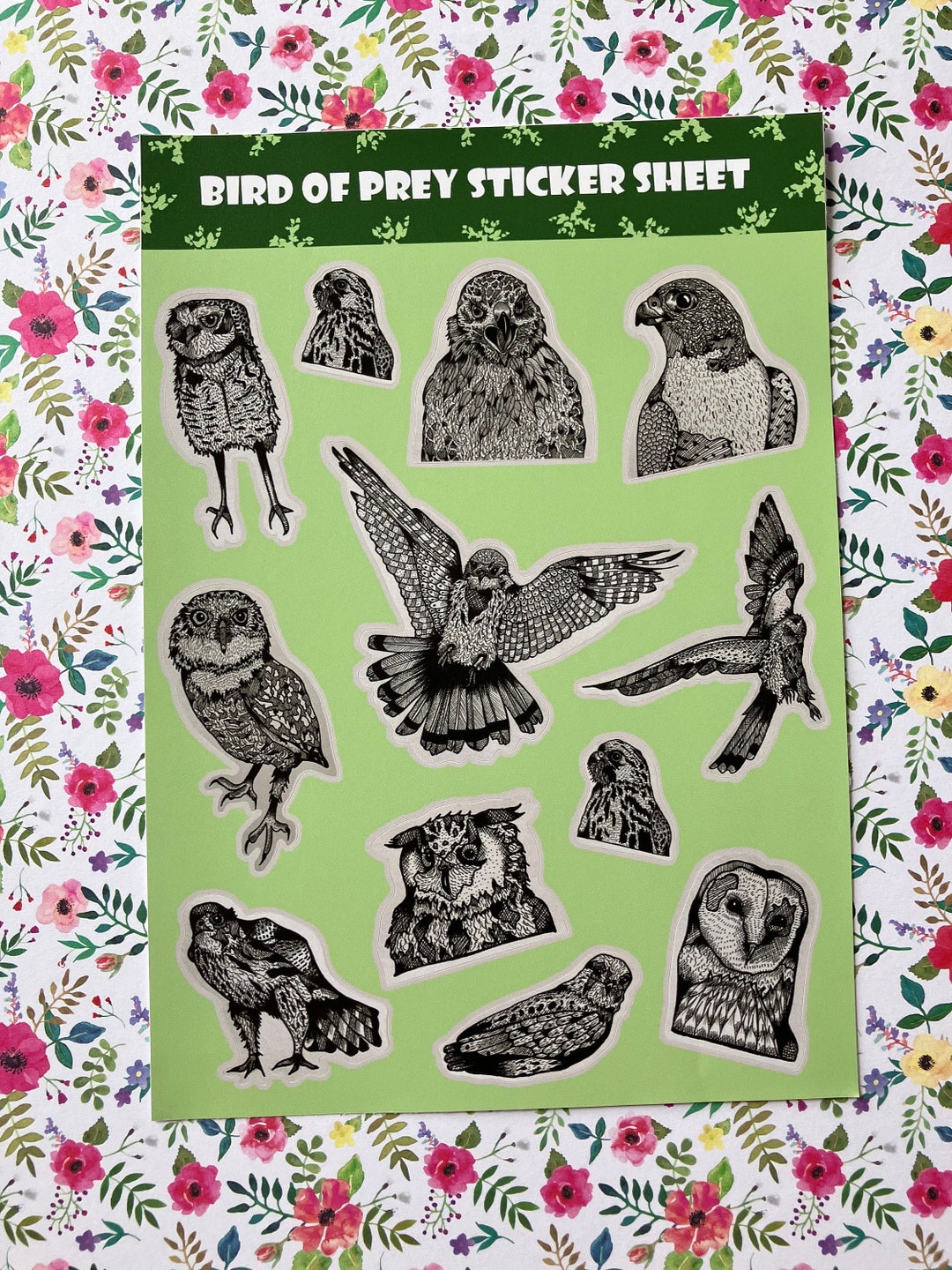 Bird of Prey Sticker Sheet - Etsy