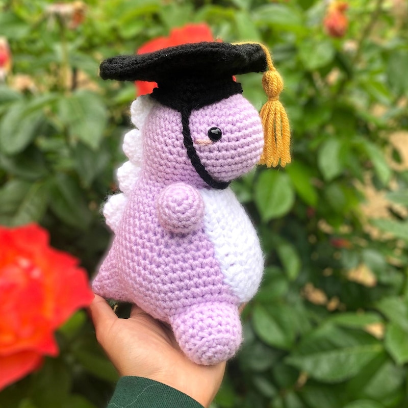 Dinosaur Graduation - Etsy