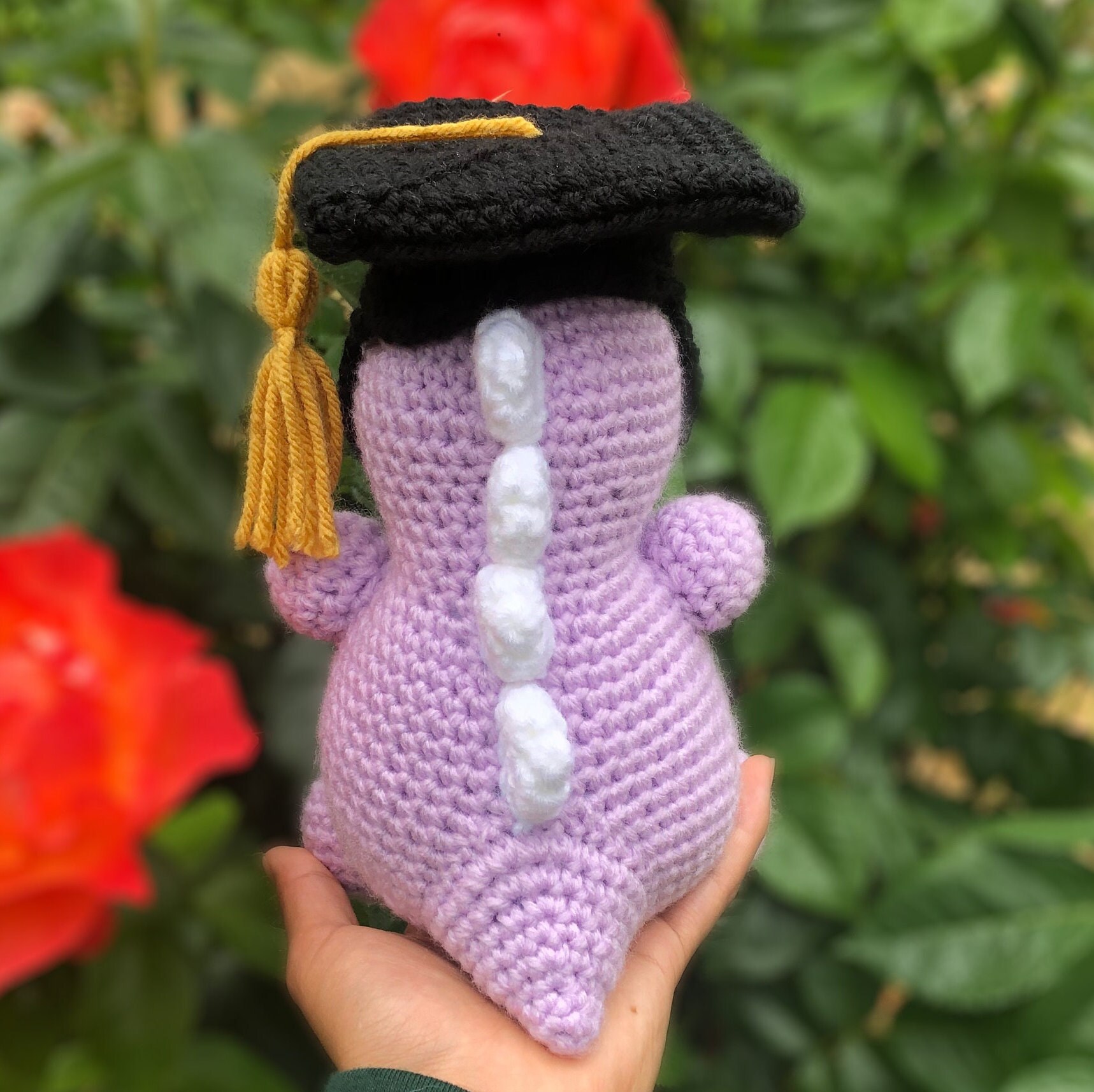 Crochet Graduation Dino, Chubby Dino Plush Graduation Gift Amigurumi ...