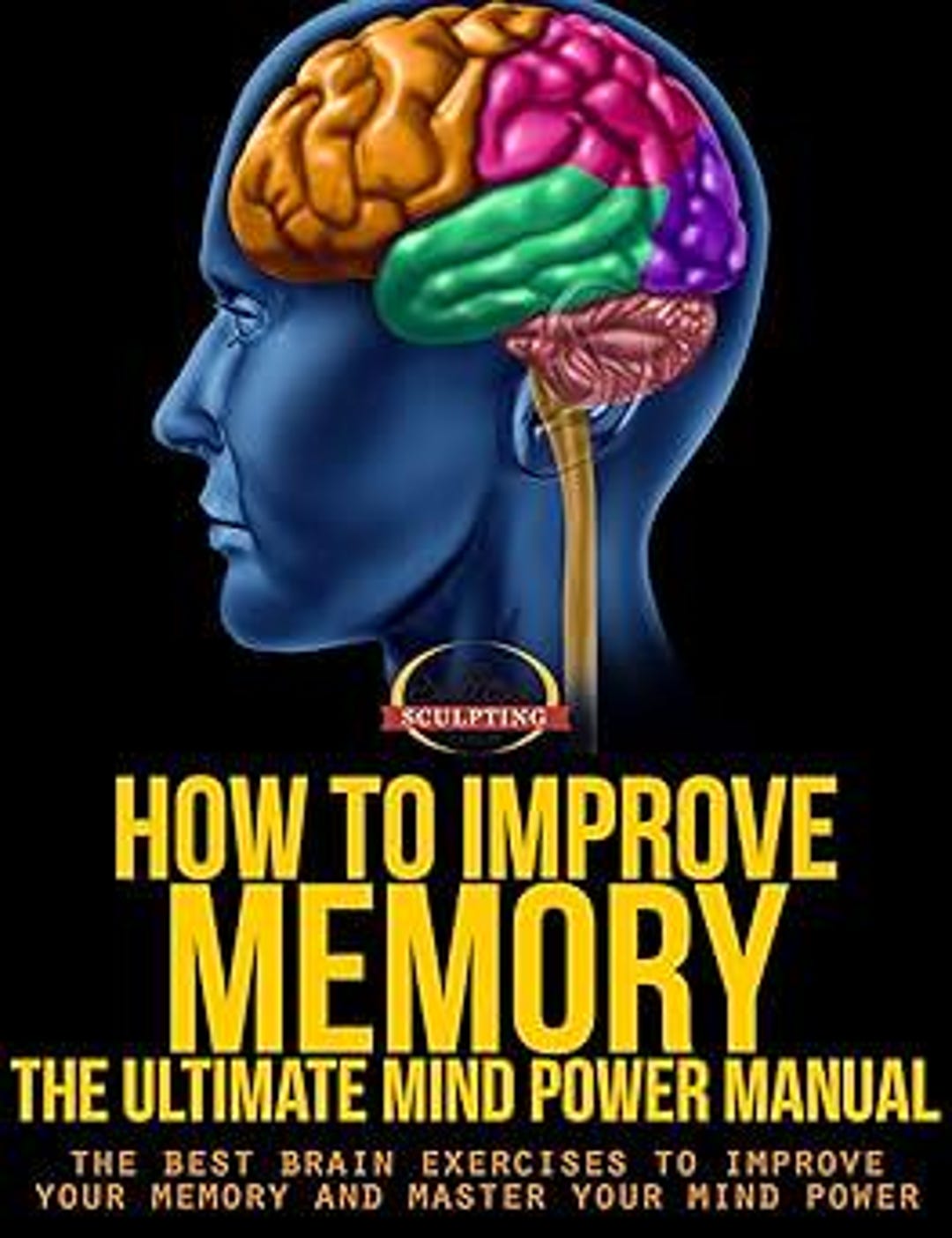 How to Improve Memory - the Ultimate Mind Power Manual - the Best Brain ...
