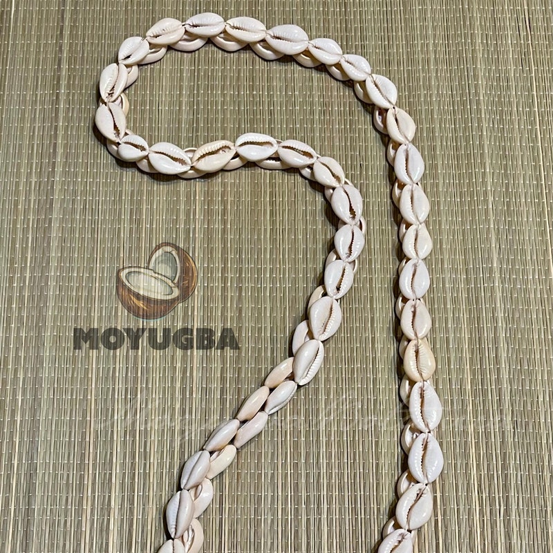 Cowrie - Etsy