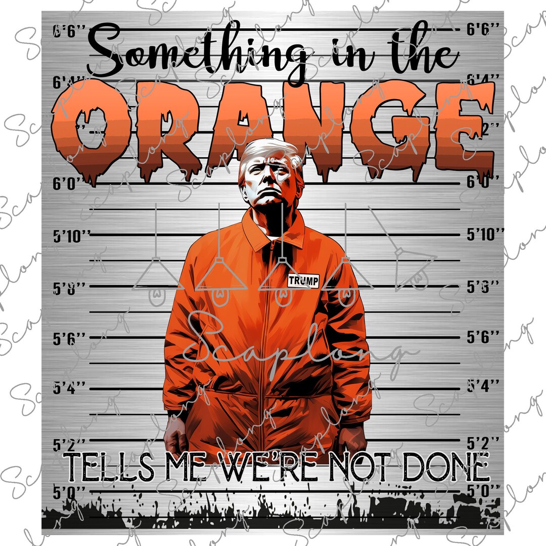 Something in the Orange PNG, I'm Voting for the Felon Trump, Trump 2024 ...