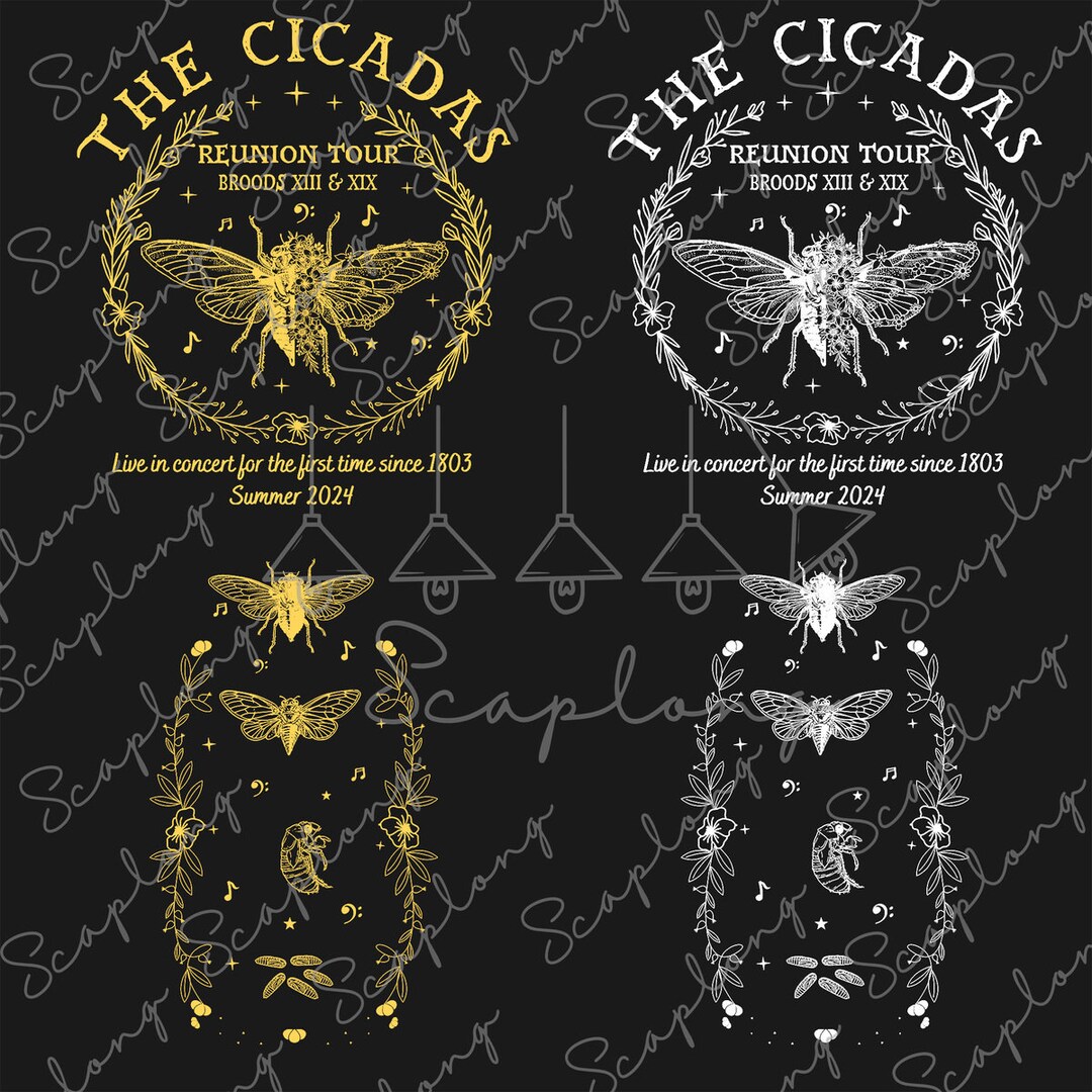 Bundle Cicada Concert Tour 2024 Svg, States of Cicada Double Brood XIII ...