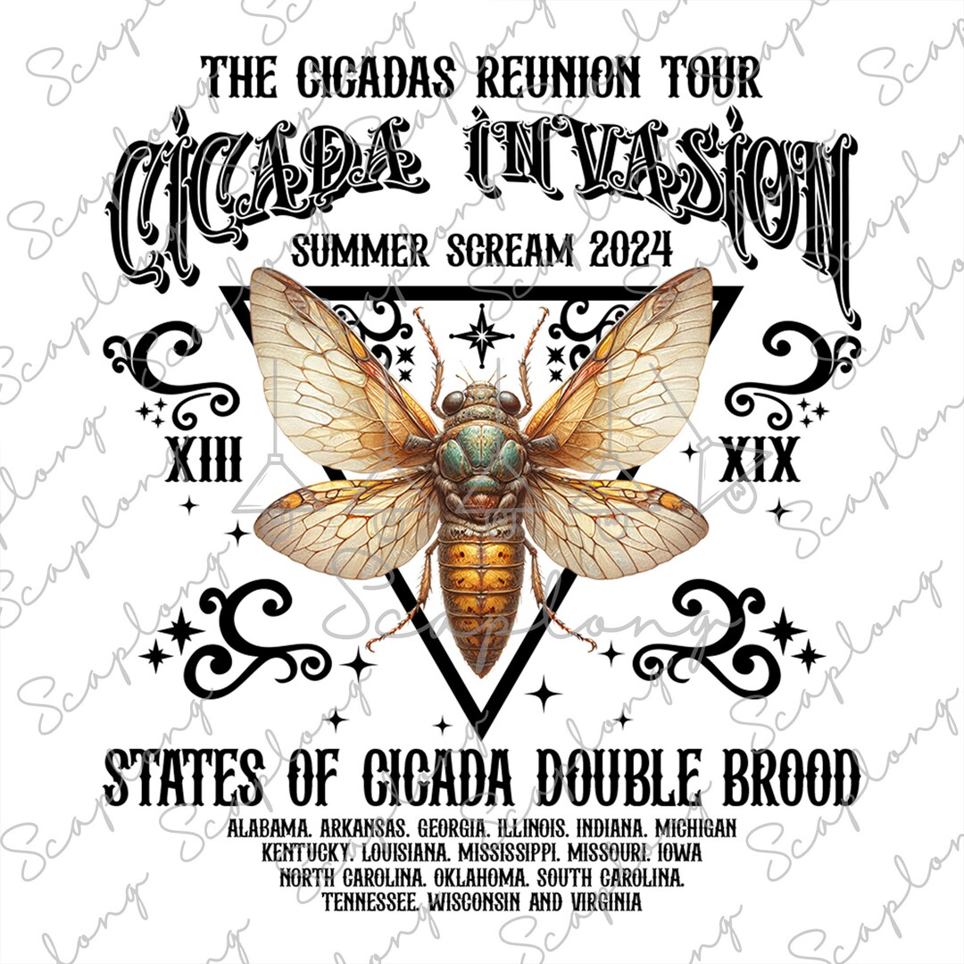 The Cicadas Reunion Tour Png, Year of the Cicadas, States of Cicada ...