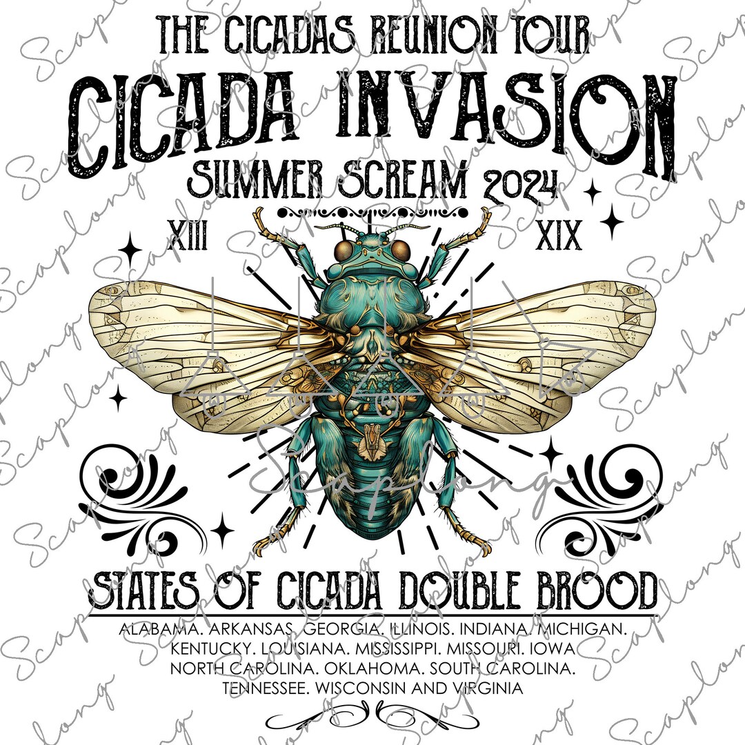 The Cicadas Reunion Tour Png, Year of the Cicadas, Cicadas Invasion ...