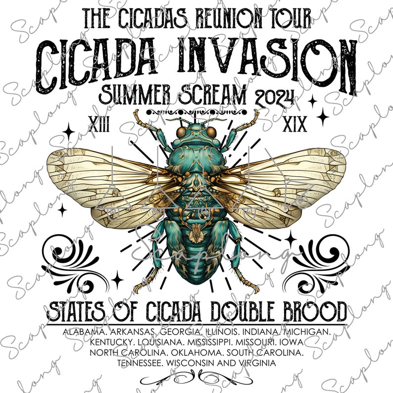 The Cicadas Reunion Tour Png, Year of the Cicadas, Cicadas Invasion ...