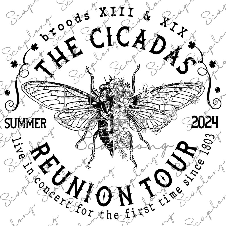 The Cicadas Reunion Tour Png Svg, Cicada Concert Tour 2024 Svg, States ...