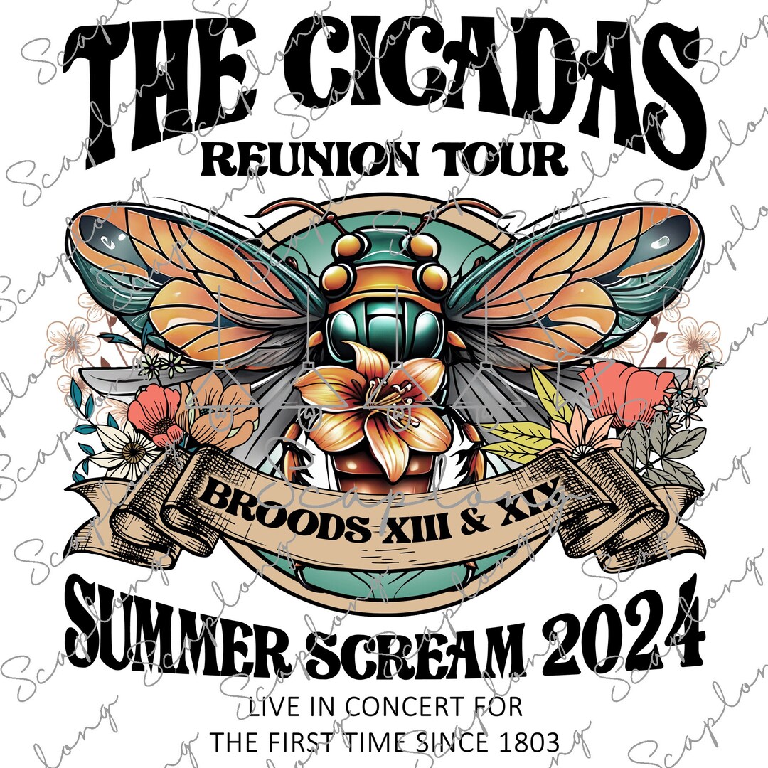 The Cicadas Reunion Tour Png, Year of the Cicadas, Cicadas Invasion ...