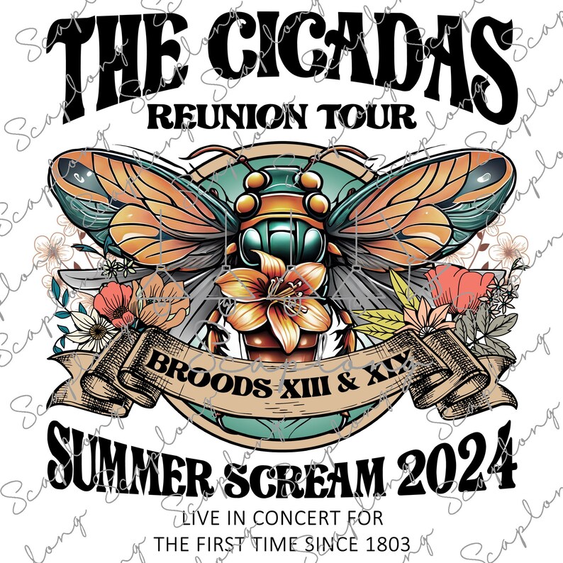 The Cicadas Reunion Tour Png, Año de las Cicadas, Cicadas Invasion ...