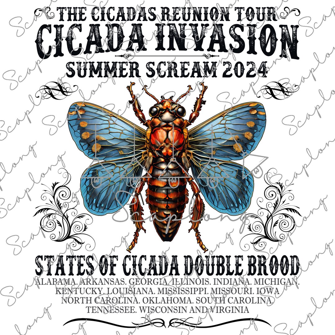 The Cicadas Reunion Tour Png, Year of the Cicadas, Cicadas Invasion ...