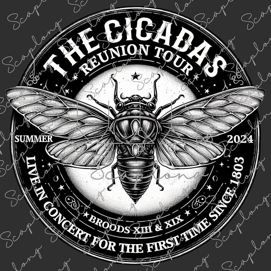 The Cicadas Reunion Tour Png, Year of the Cicadas, Cicadas Invasion ...