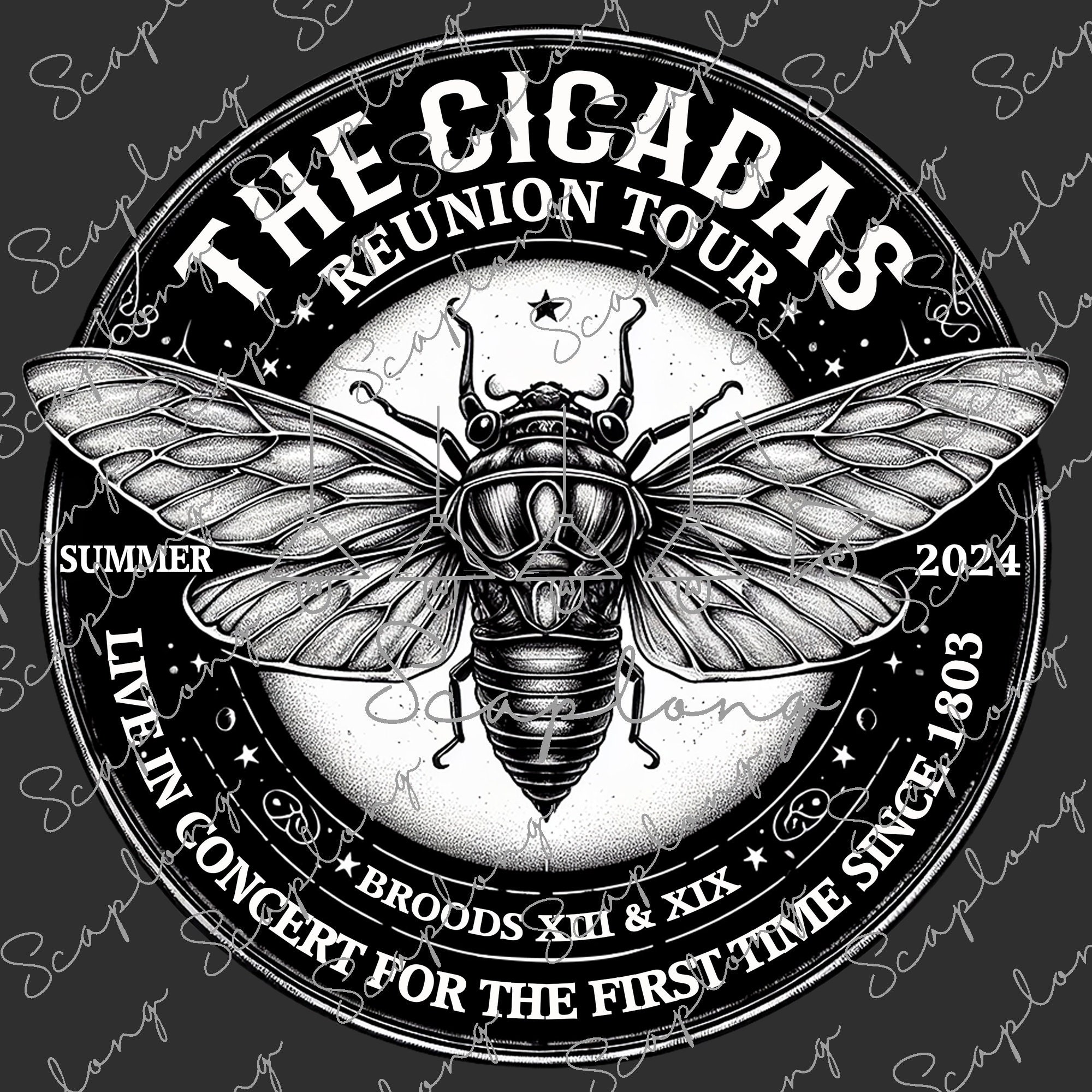 The Cicadas Reunion Tour Png, Year of the Cicadas, Cicadas Invasion ...