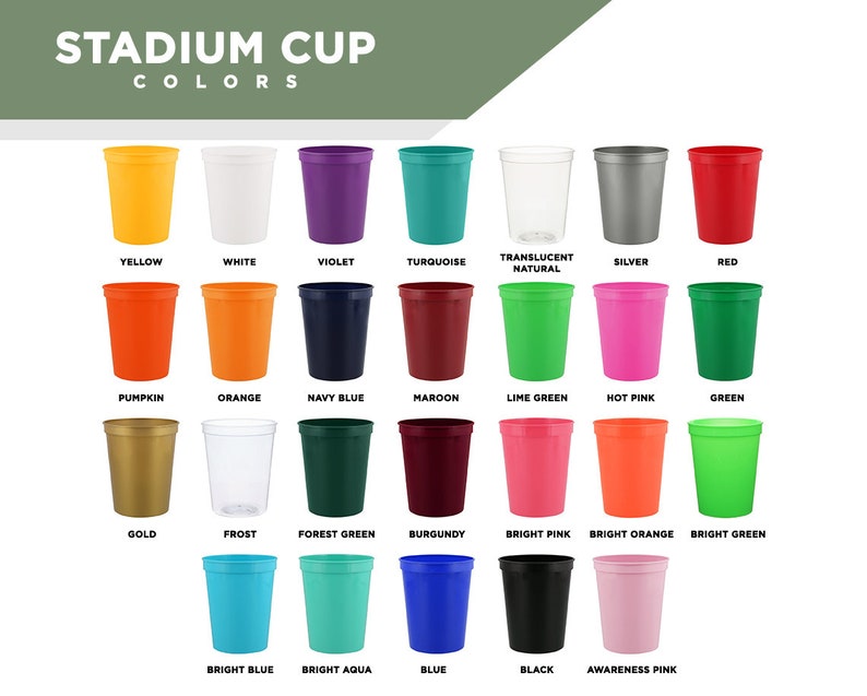 Cheers to 21 Years Birthday Plastic Cups, 21st Birthday Plastic Cups ...