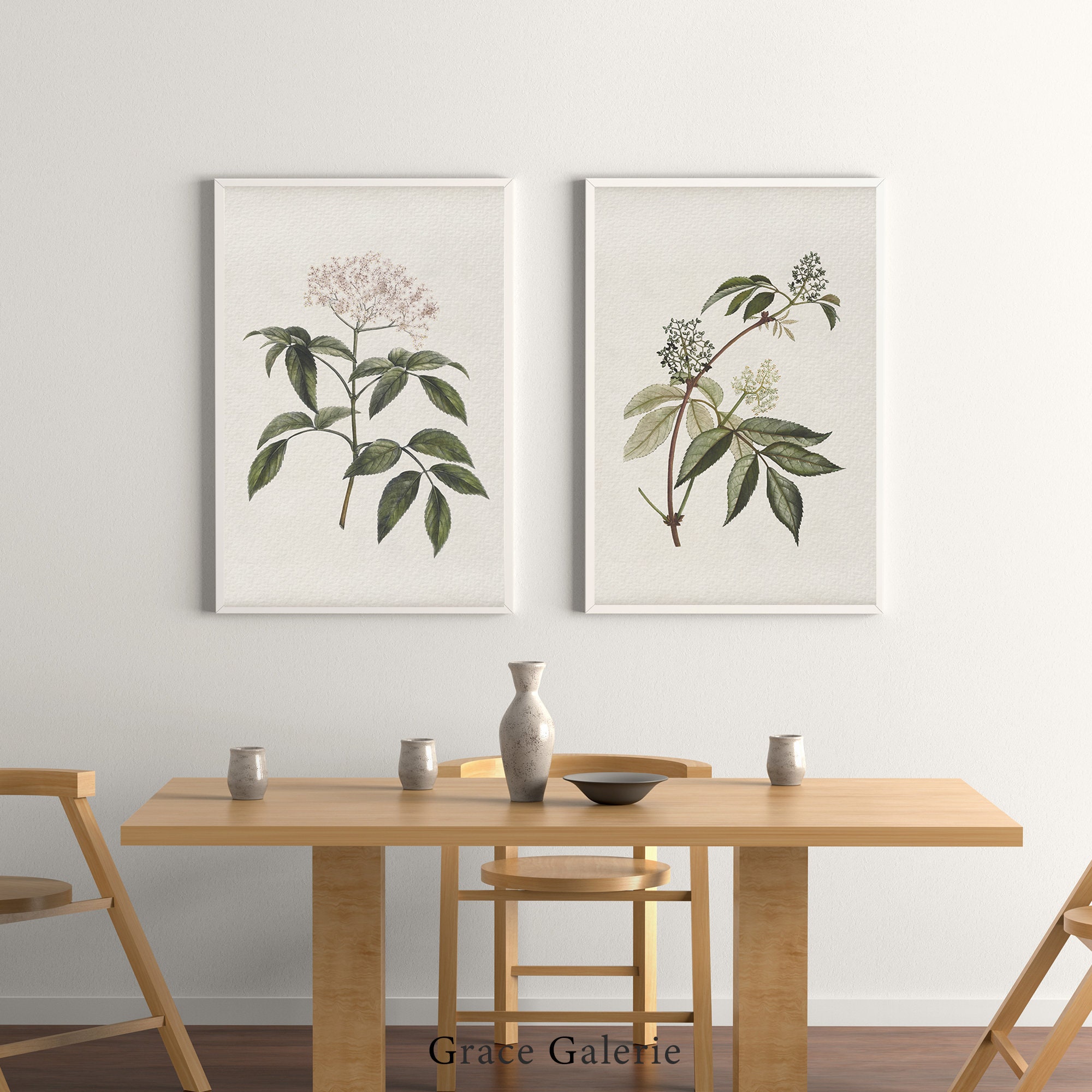 Vintage Botany Gallery Wall Art Set of 2 Ederberry Flowering Branch Red ...