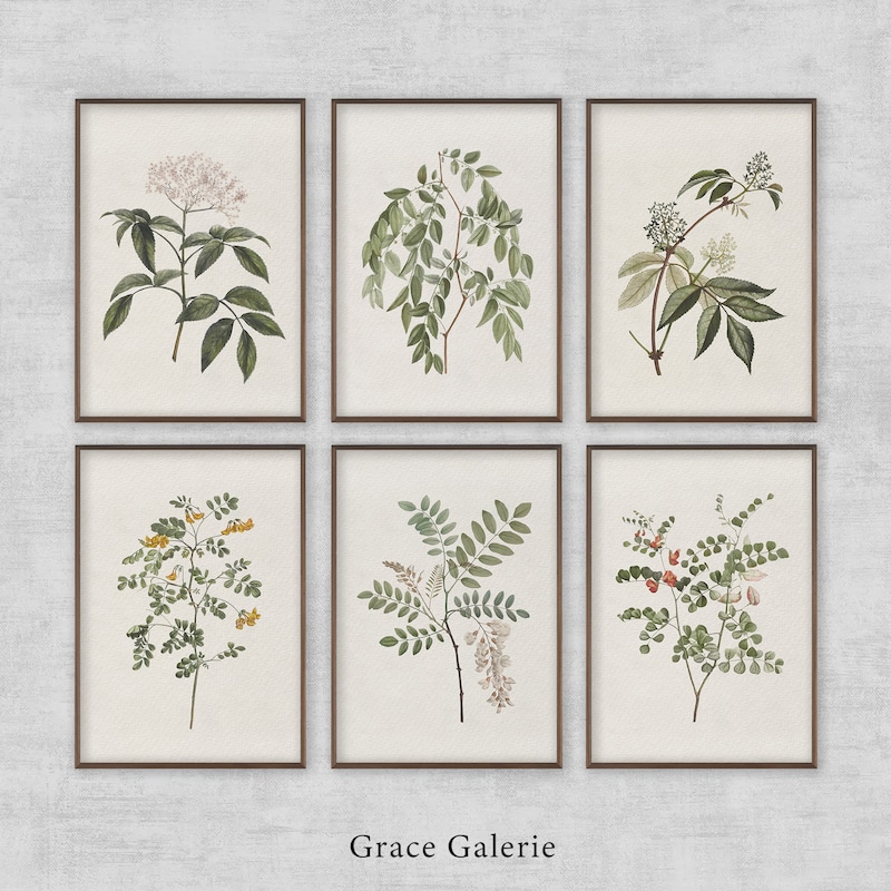 Gallery Prints Botanical - Etsy