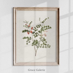 Vintage Botany Gallery Wall Art | Set of 2 | Vintage Botany | PRINTABLE ...