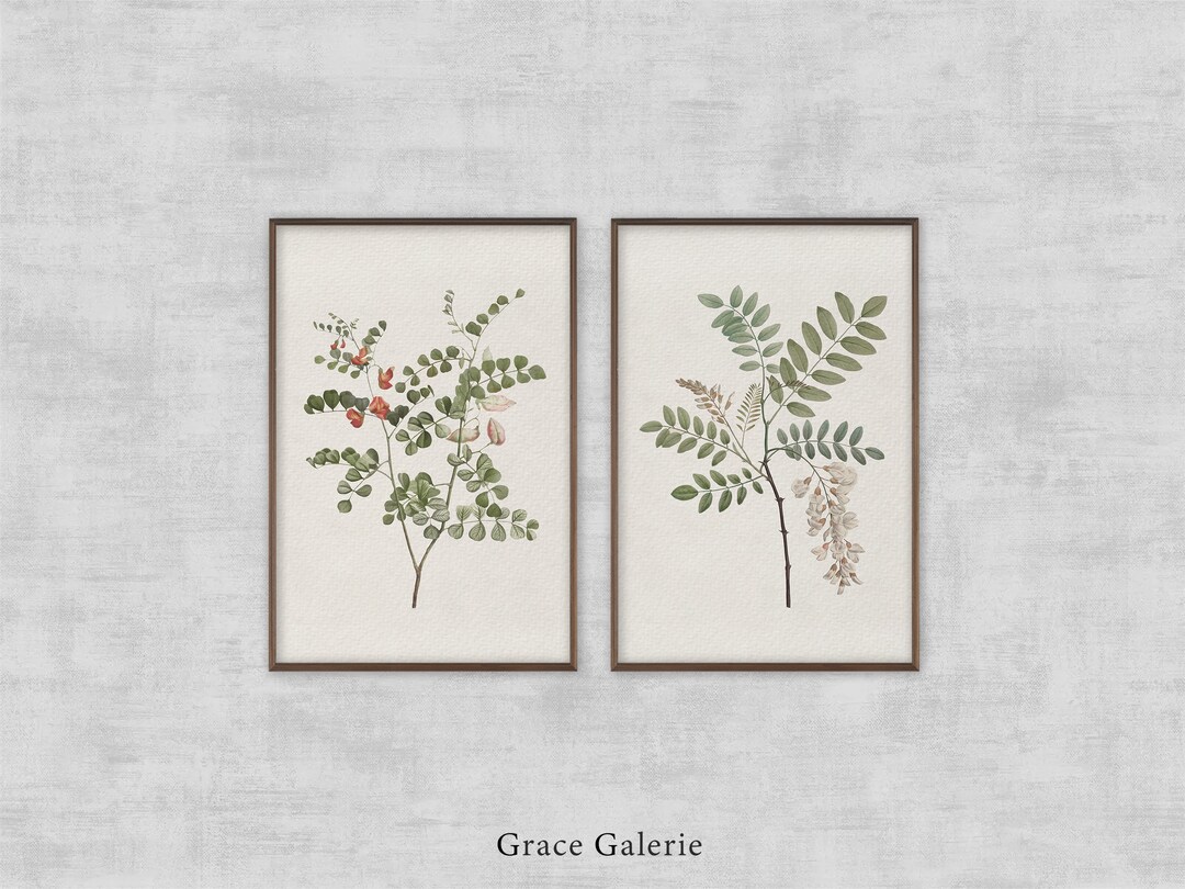 Vintage Botany Gallery Wall Art | Set of 2 | Vintage Botany | PRINTABLE ...