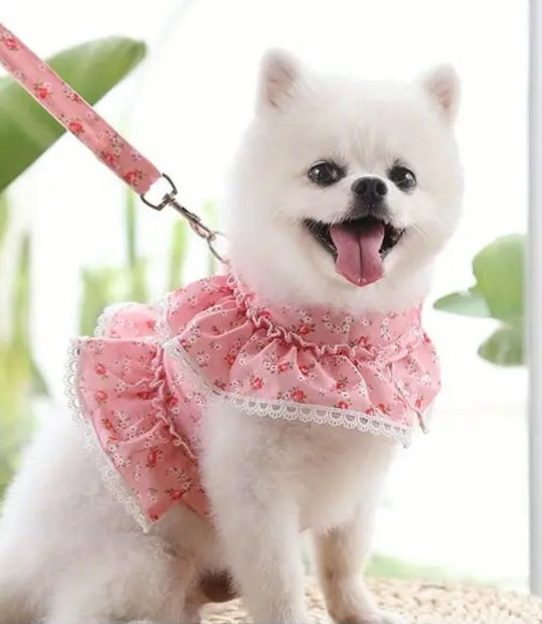 Fancy Pink Floral and Lace Harness With Matching Leash for 4-7 Lb Dogs ...