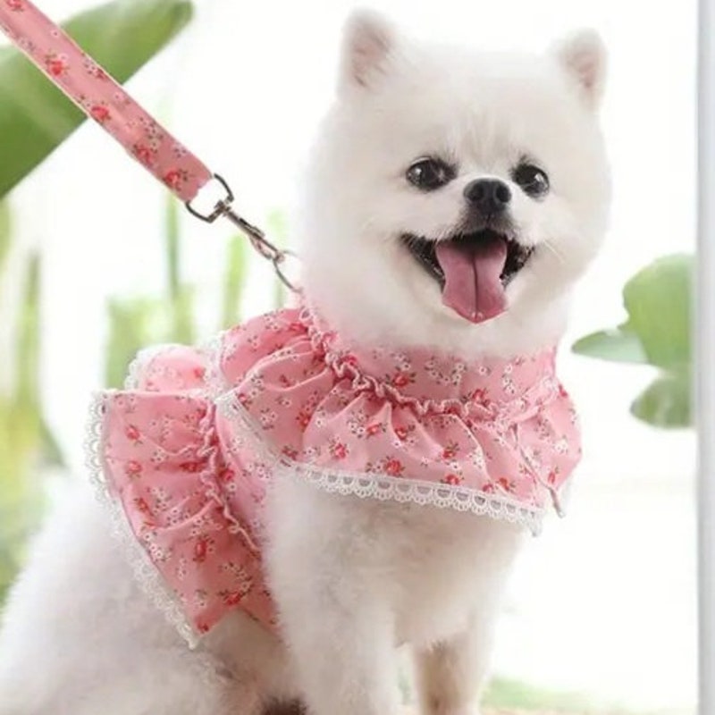 Ruffle Dog Harness - Etsy