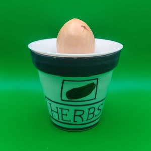 Germination Plate - Etsy