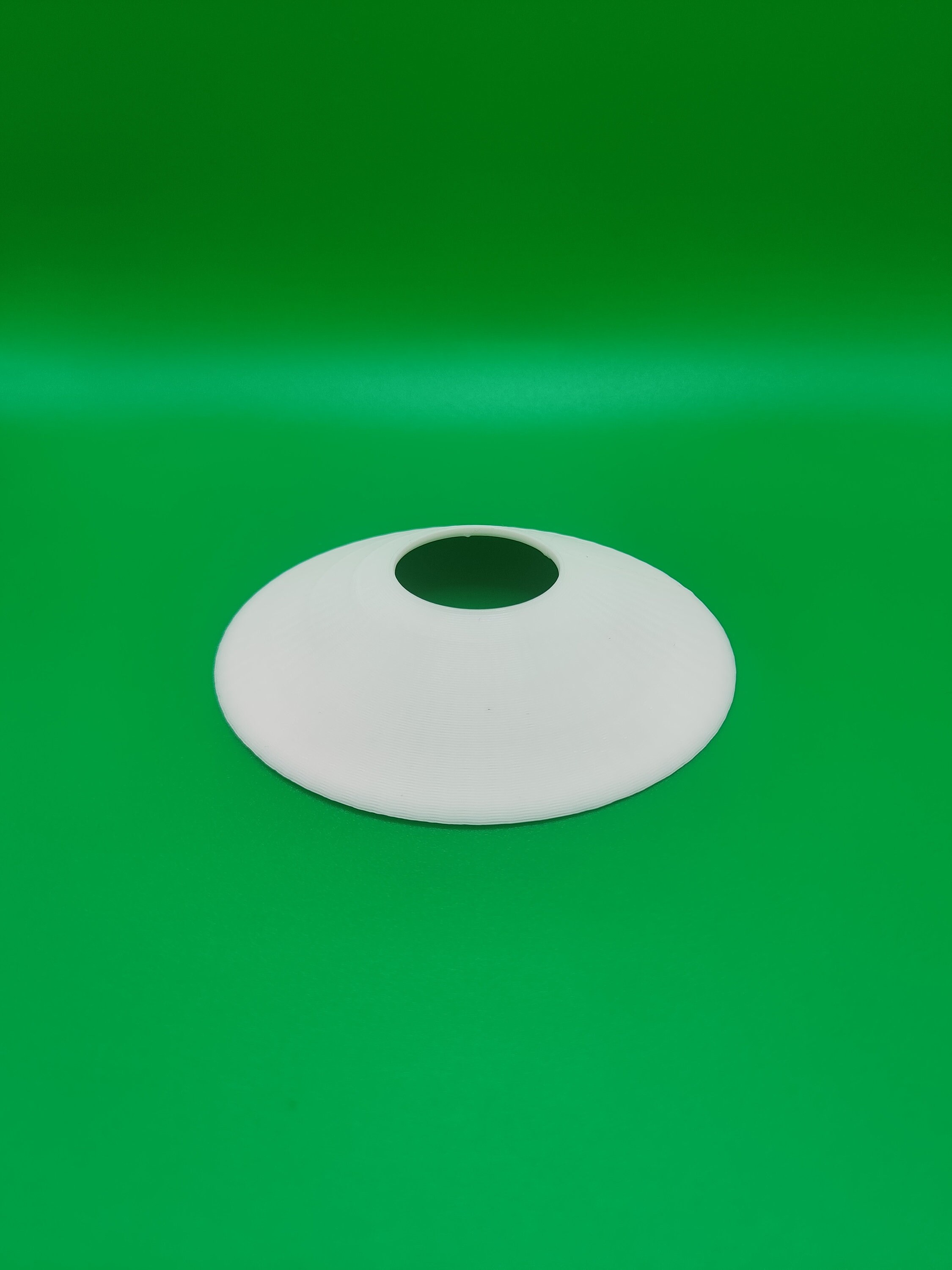 Germination Plate - Etsy