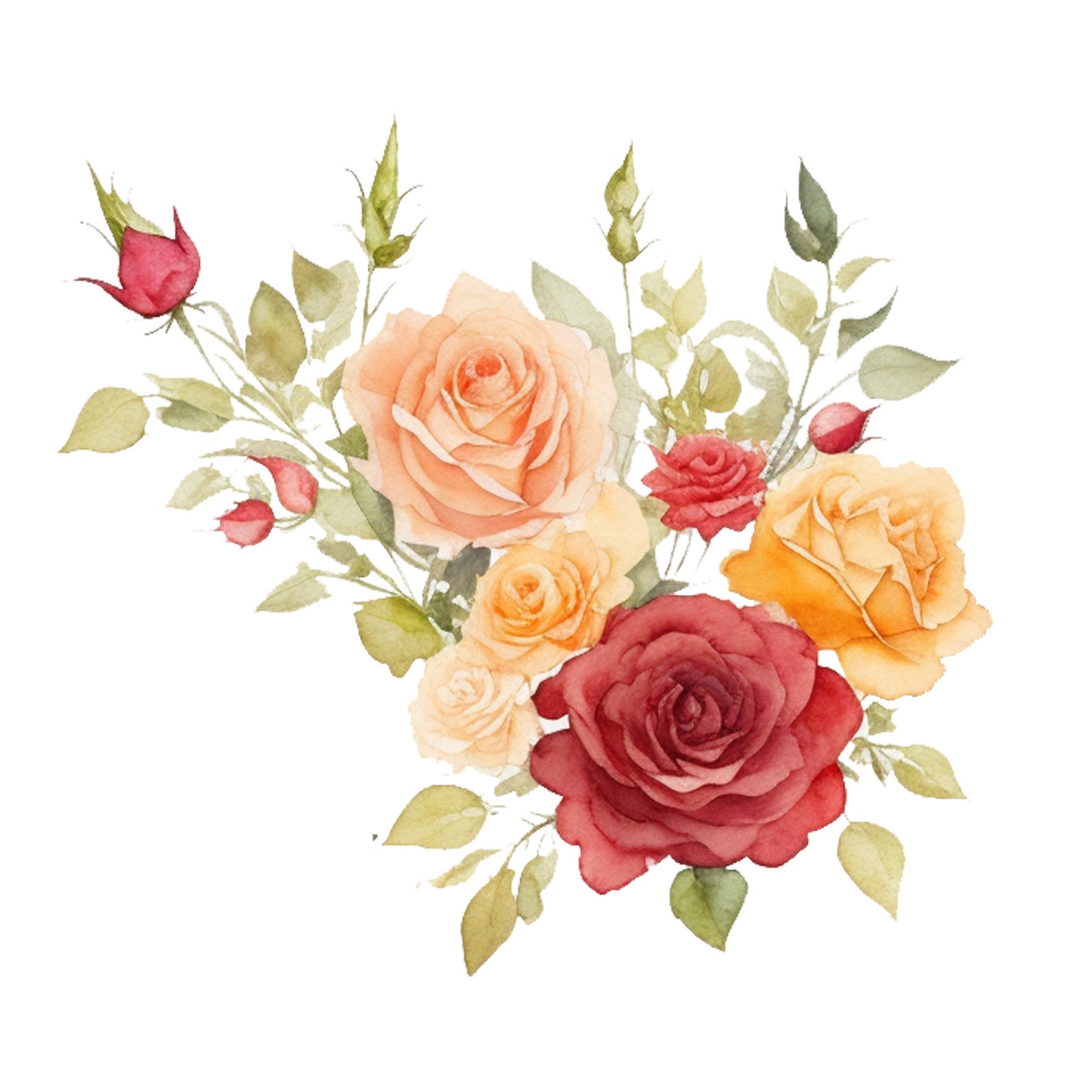 Rose Clipart, Flower Clipart, Floral Clipart, Red Rose Clipart ,amber ...