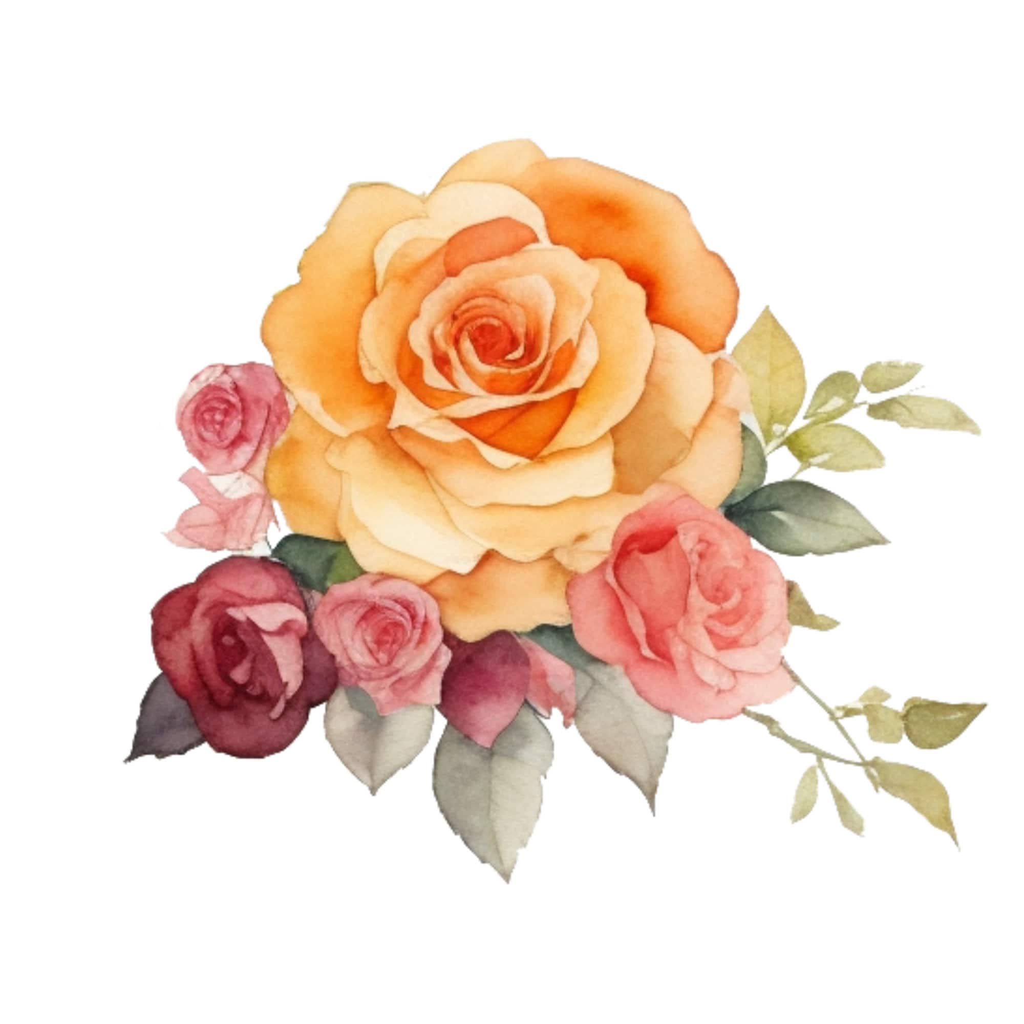Rose Clipart, Flower Clipart, Floral Clipart, Red Rose Clipart ,amber ...