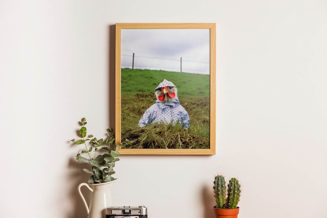 Chicken Wall Art for Living Room Chicken Lover Gift Chicken - Etsy