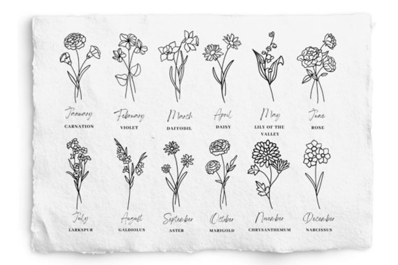Birth Month Flower SVG Bundle, Cricut - Etsy