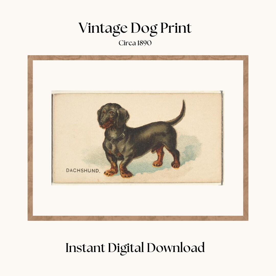 Dachshund Dog Art Print I Vintage Dog Painting I Antique Animal ...