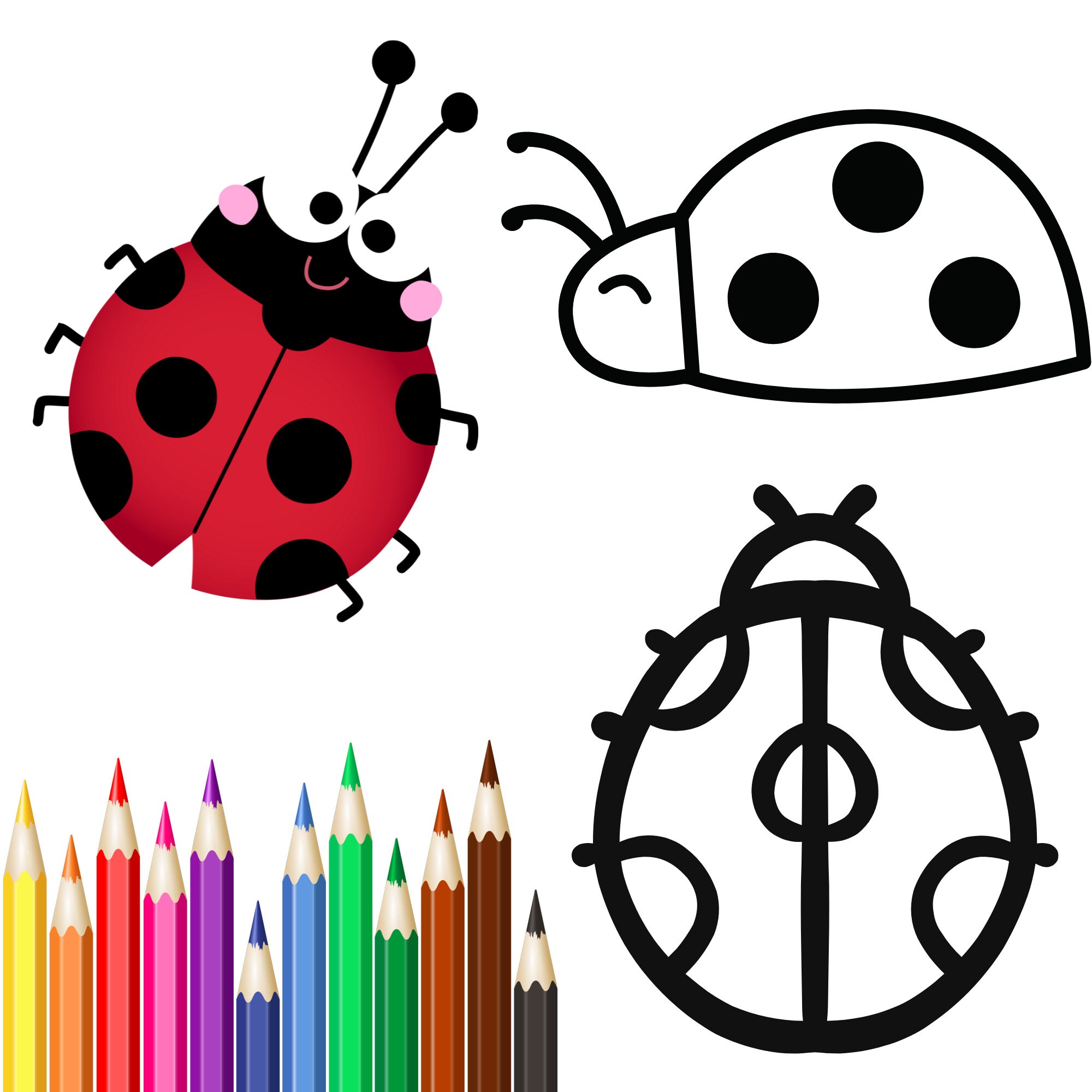 Coloring ,ladybugs, Kids, Printable, Book, Simple , Design, Pages ...