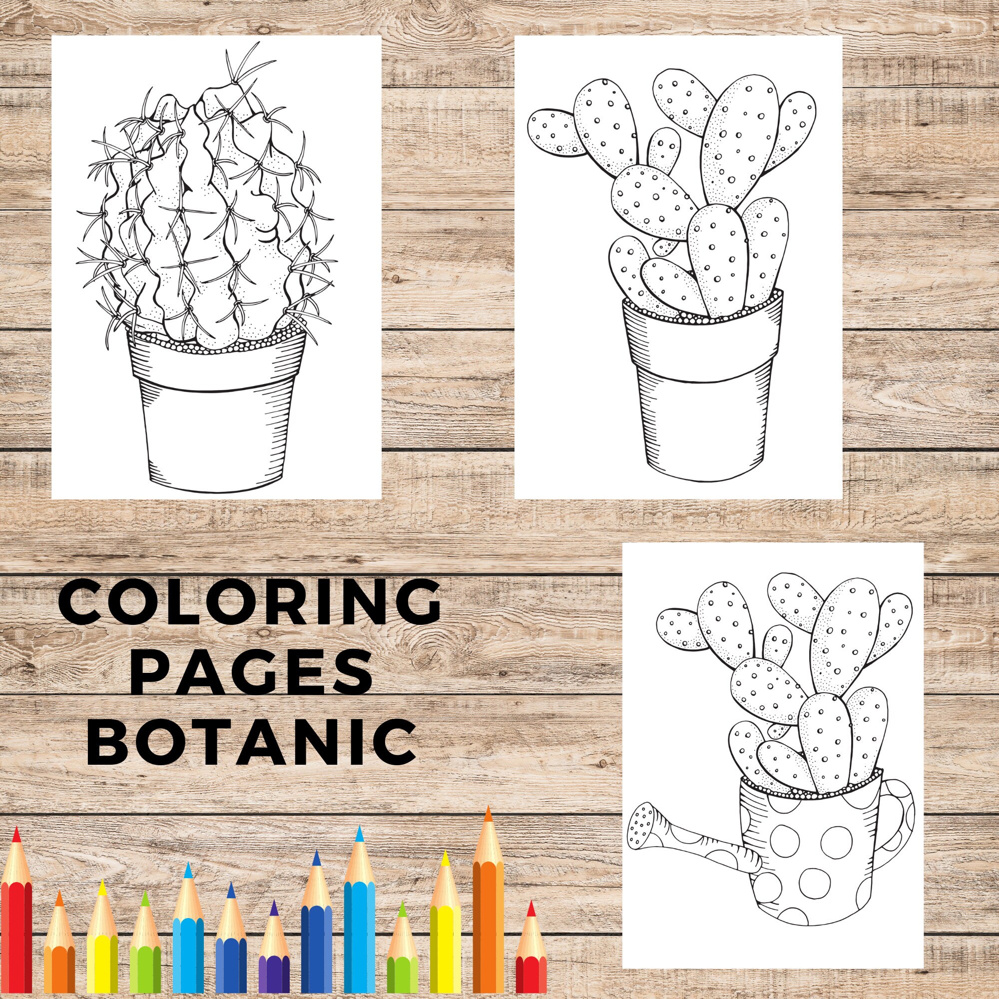 Botanical Coloring Pages, Coloring Pages, Botanical, Nature Coloring ...