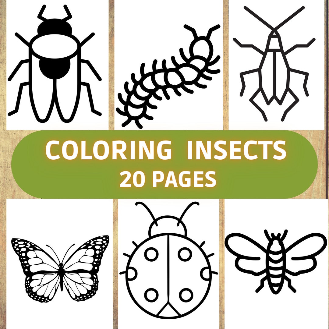Insects Coloring Pages, Fantastic Coloring, Ludybag to Color ...