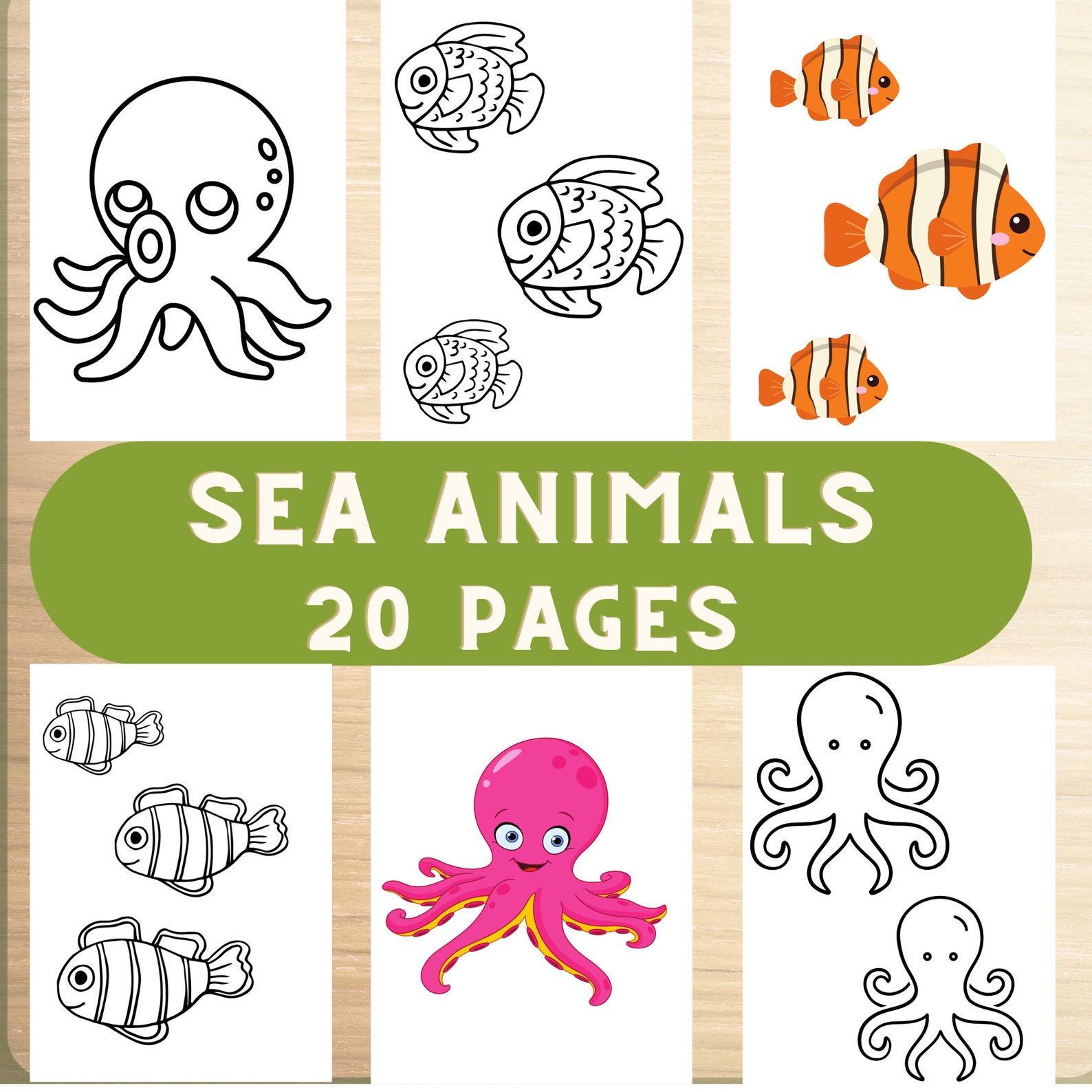 Marine Life Coloring Pages Ocean Animal Coloring Sheets Sea - Etsy