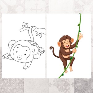 Animals Coloring Pages, Little Hand, Monkeys Illustrations, Coloring ...