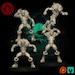 Torchlight "the Imperial Circus" Kislev Fantasy Football Team - Etsy