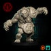 Torchlight "the Imperial Circus" Kislev Fantasy Football Team - Etsy
