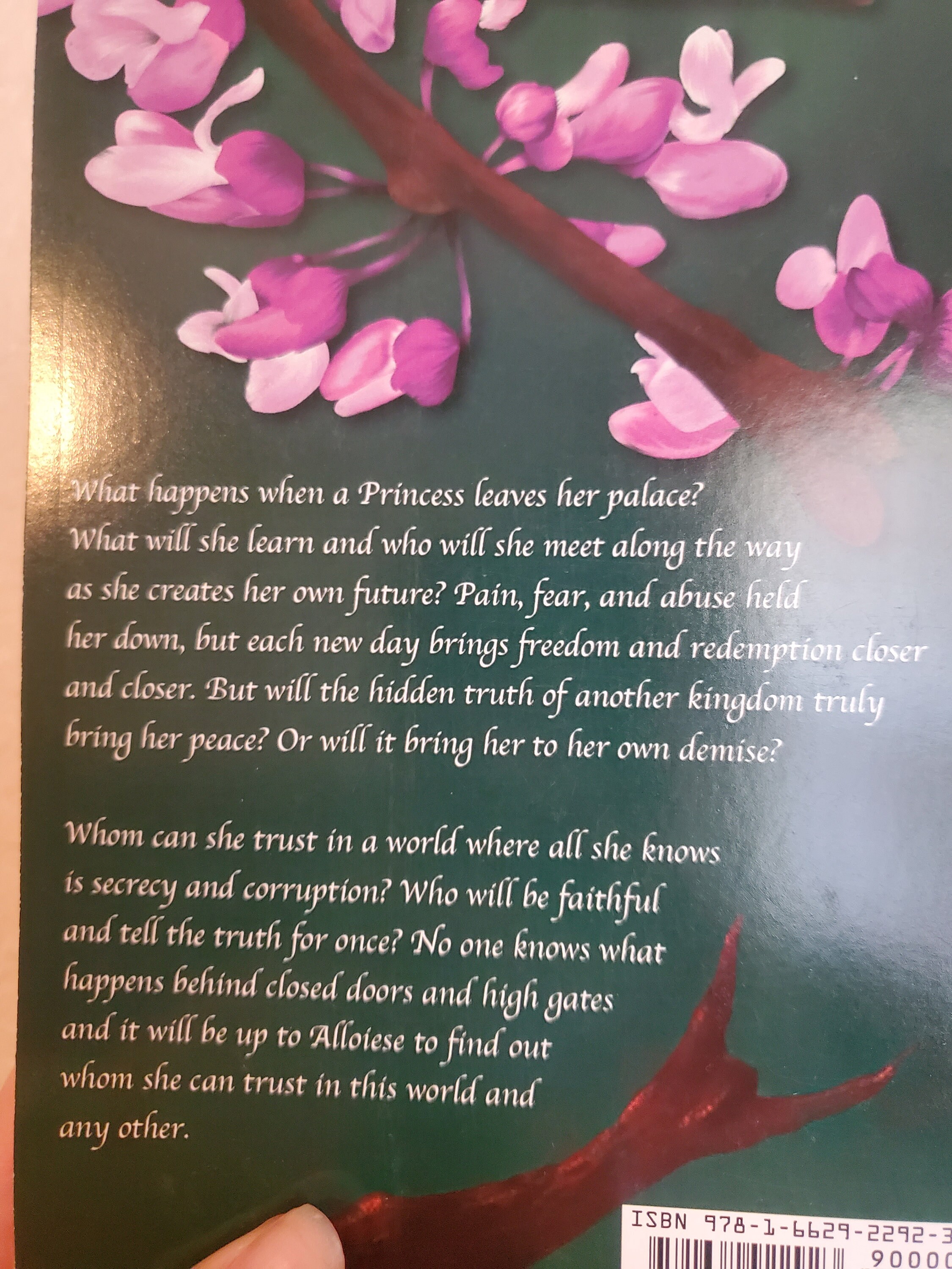 Who is the Enemy Book 1 of the Enemy Series - Etsy