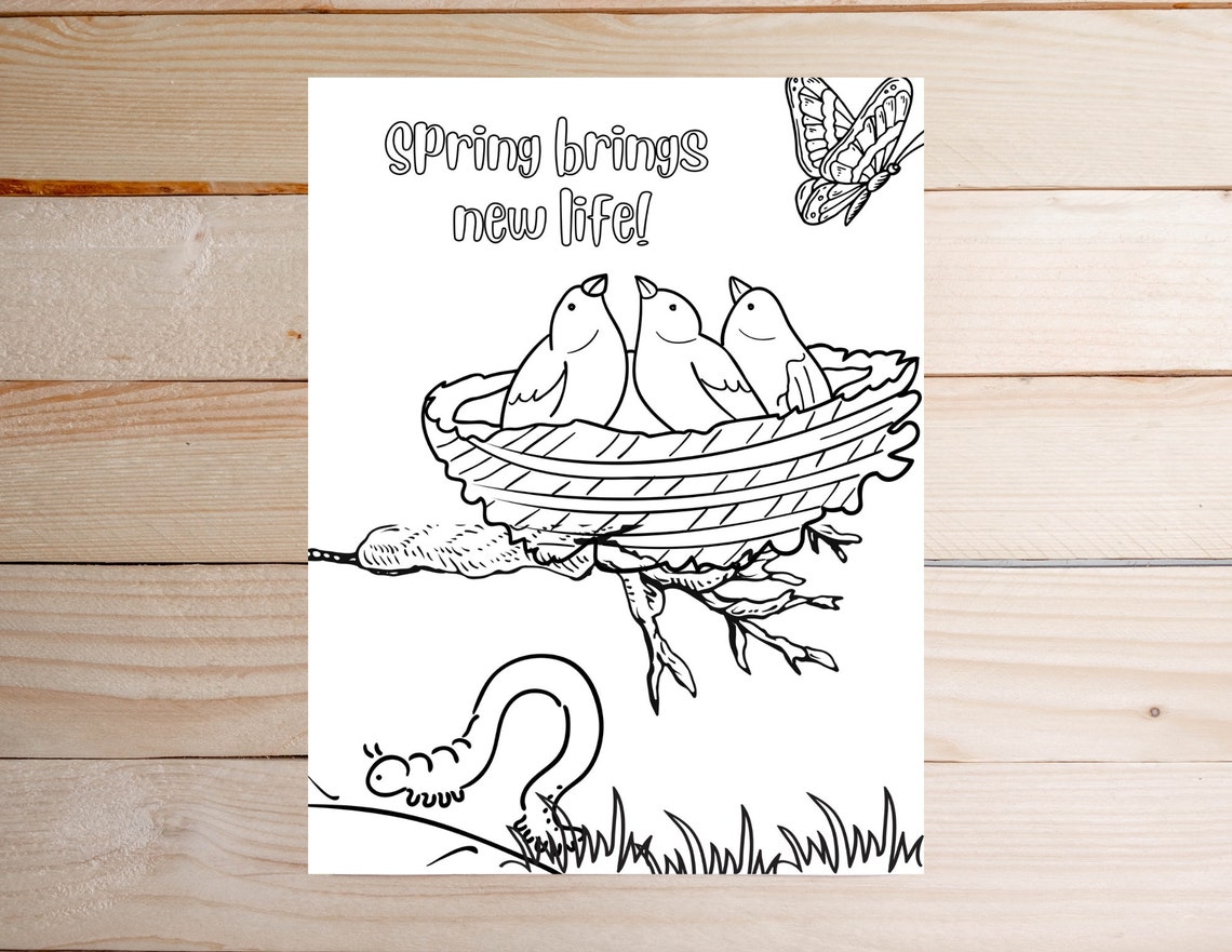 Printable Spring Themed Coloring Pages | Printable Coloring Activity - Etsy