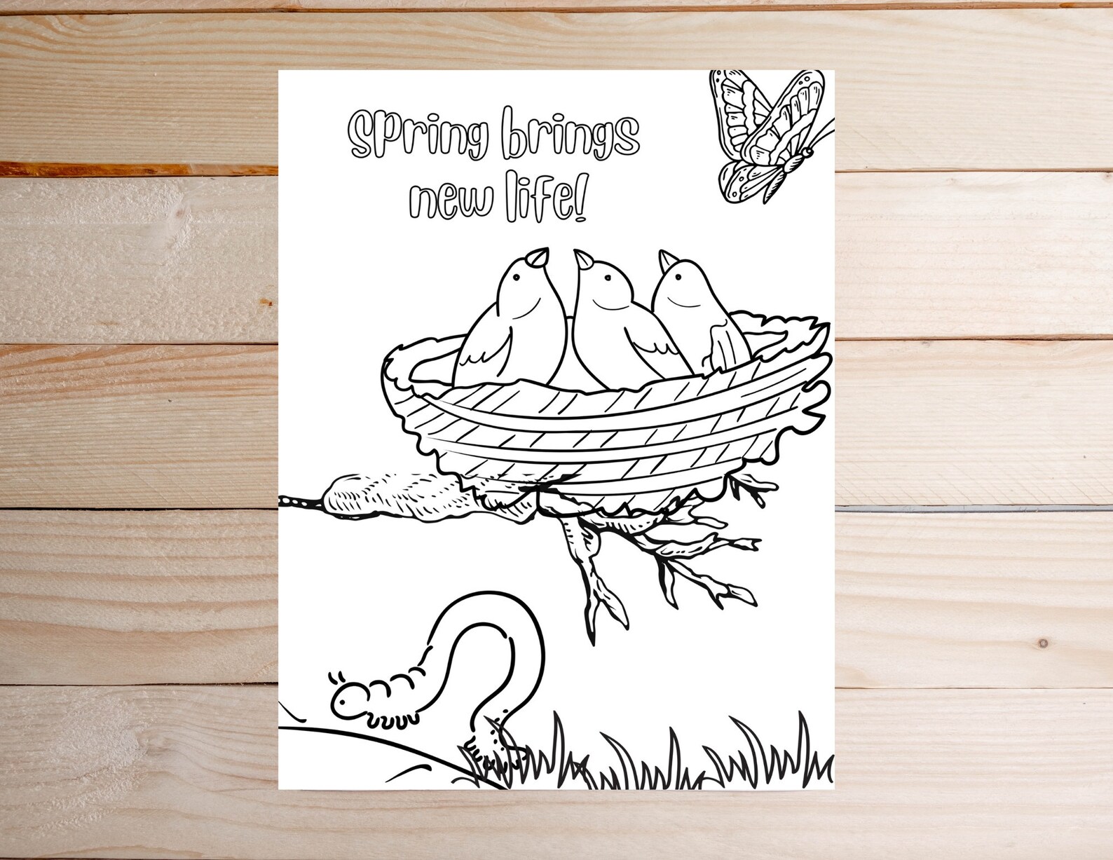 Printable Spring Themed Coloring Pages | Printable Coloring Activity - Etsy